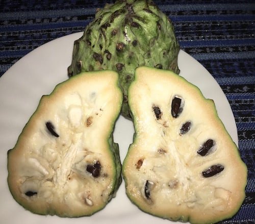 Annona Time at Lake Atitlán - Singing Vegan